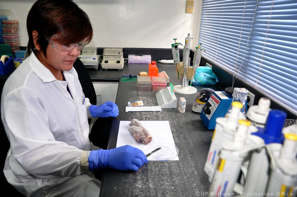 Research - University of the Philippines Diliman