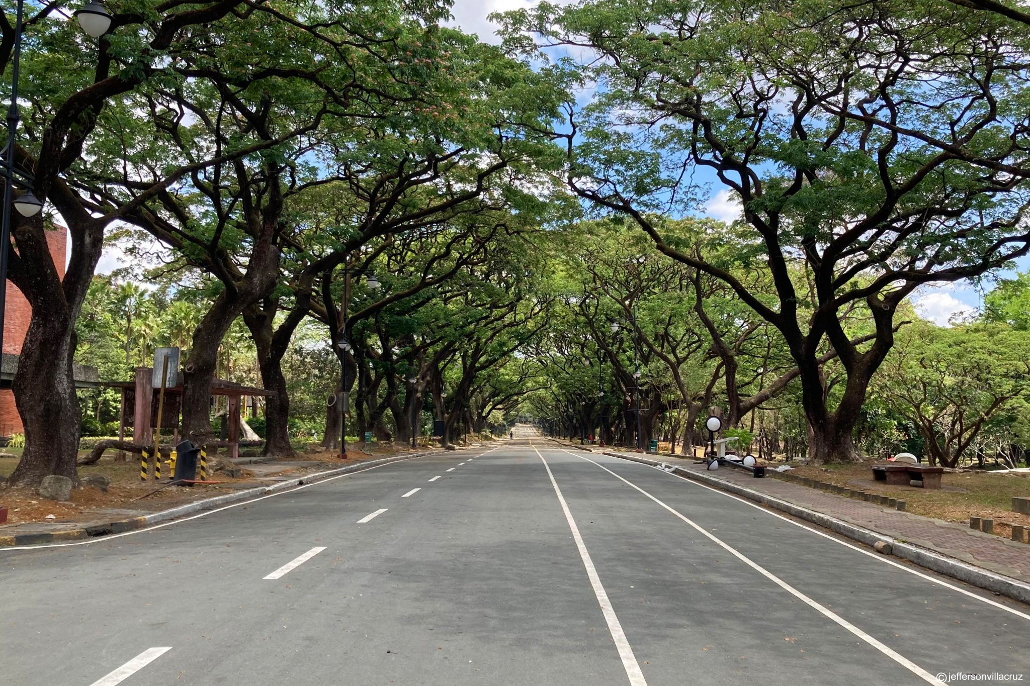 Green Spaces and Biodiversity - University of the Philippines Diliman