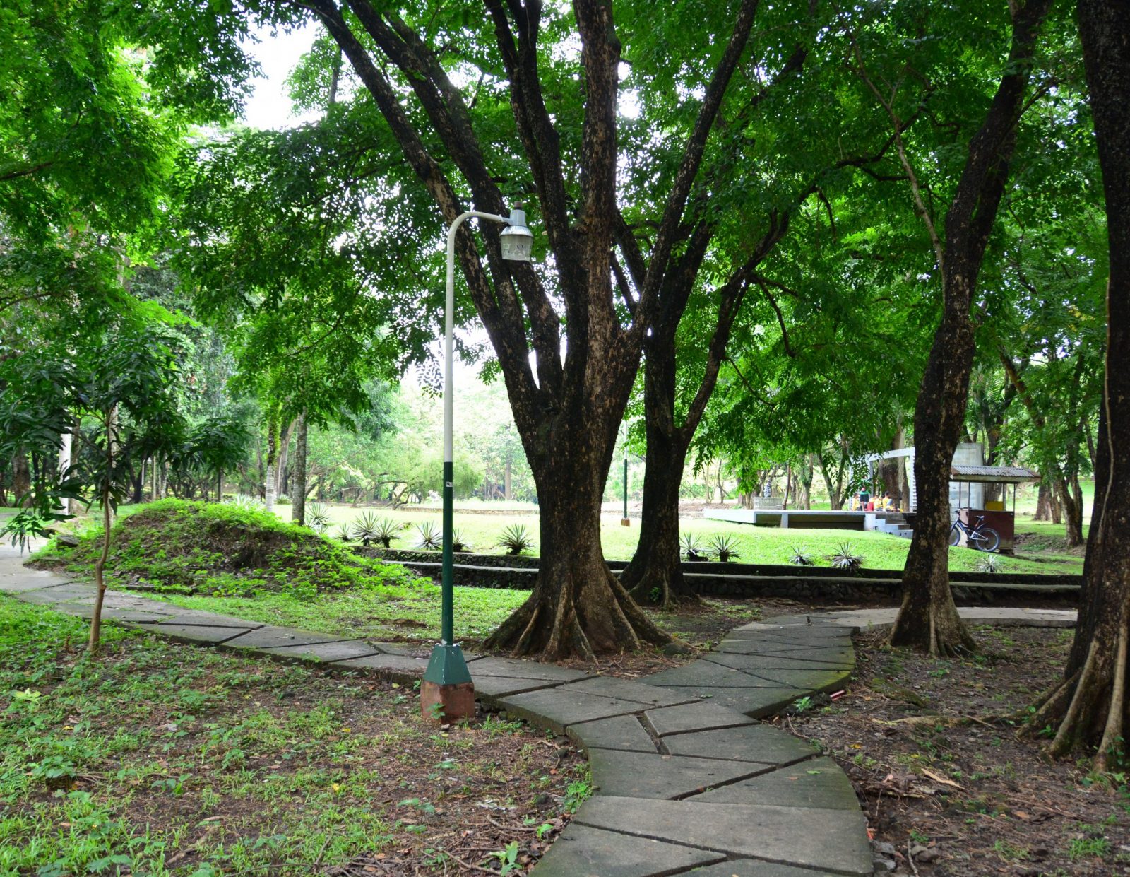 UP has five new National Artists - University of the Philippines Diliman