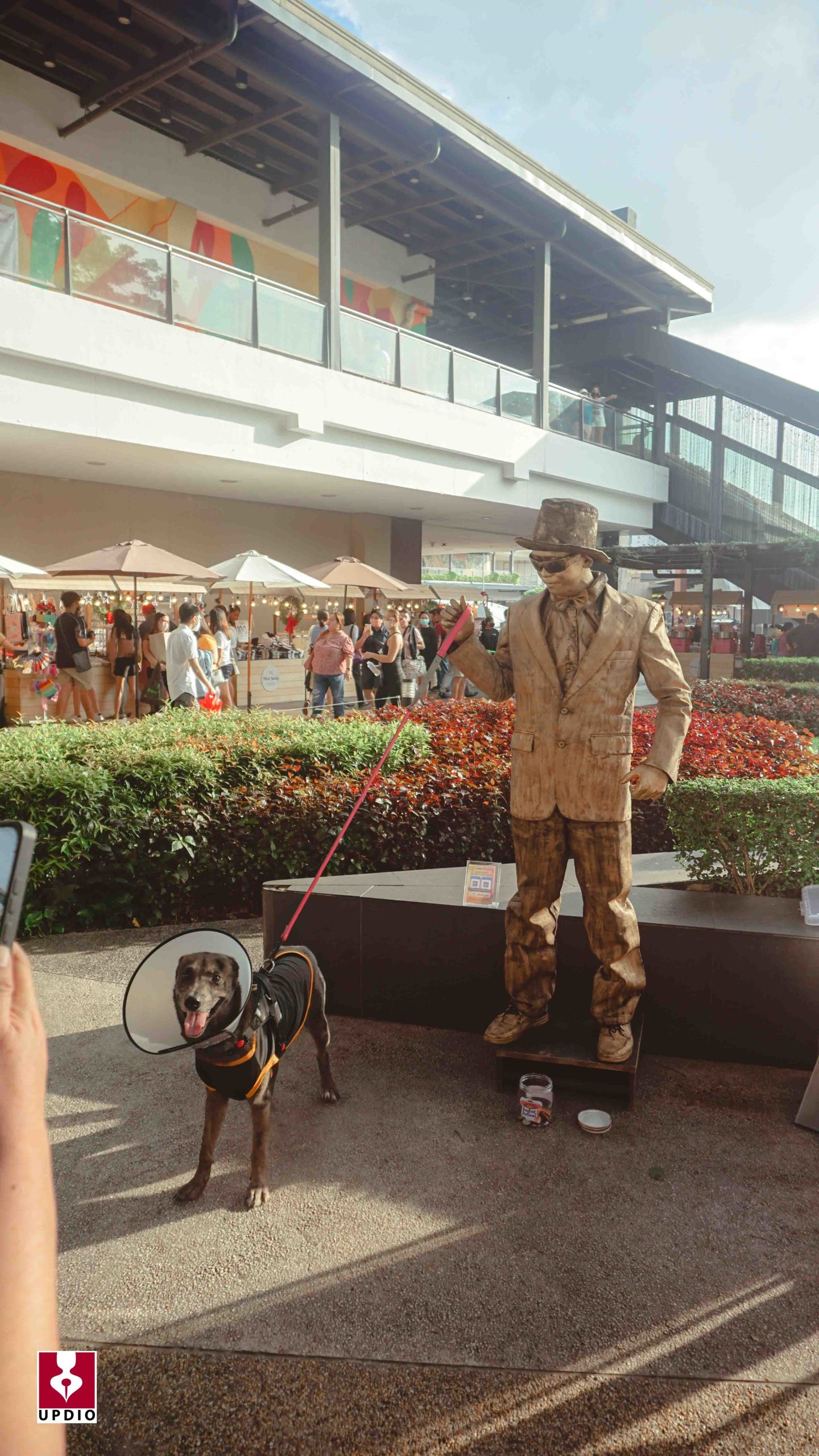 Music and performances for a cause - University of the Philippines Diliman