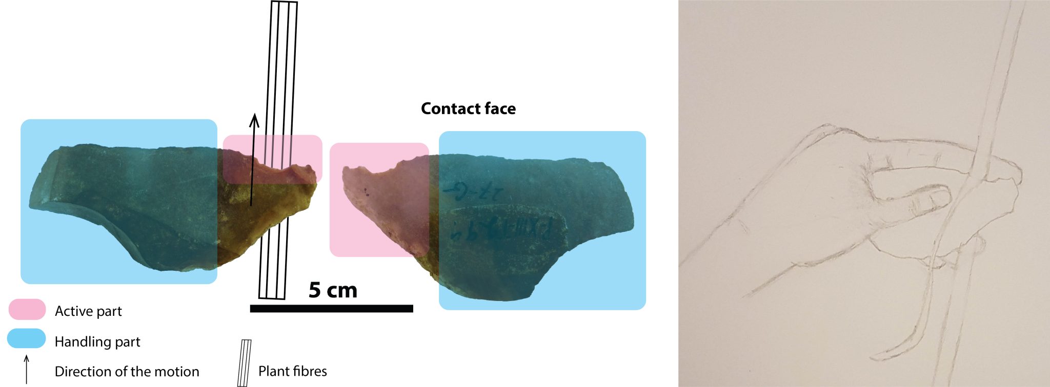 Earliest fiber technology found in Tabon Cave - University of the ...