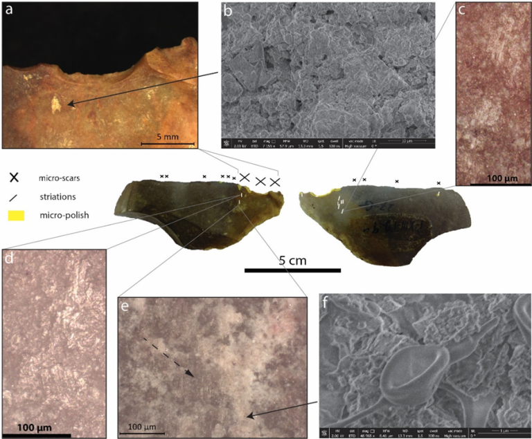 Tabon Cave finds: Prehistoric SEA fiber technology - University of the ...