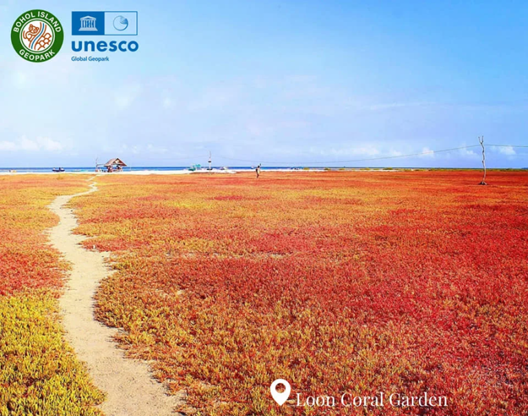 UPD researchers aid in testing electric PUVs - University of the ...